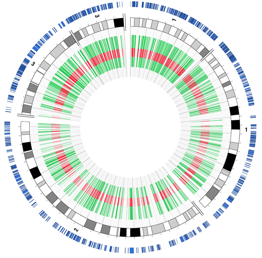 circos 可视化手册-highlights 篇_circos highlight-CSDN博客