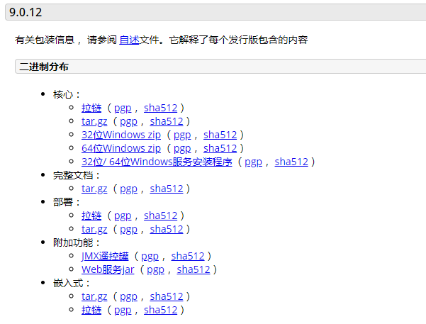 【工具】Tomcat 发布web socket时出现Caused by: java.lang.IllegalStateException: No suitable default-CSDN博客