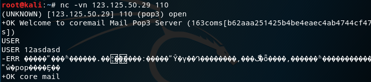 Kali工具的使用--NETCAT_kali netcat-CSDN博客