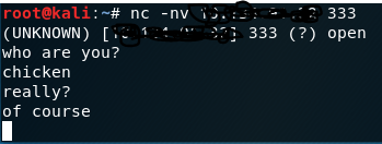 Kali工具的使用--NETCAT_kali netcat-CSDN博客