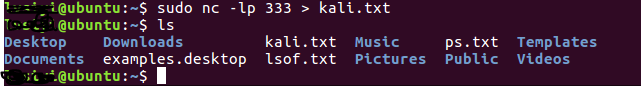 Kali工具的使用--NETCAT_kali netcat-CSDN博客