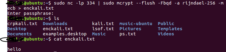 Kali工具的使用--NETCAT_kali netcat-CSDN博客