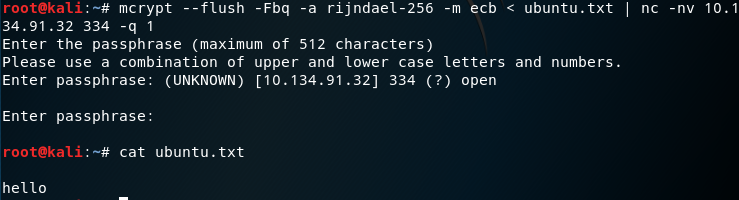 Kali工具的使用--NETCAT_kali netcat-CSDN博客