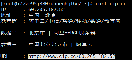 Linux——Linux系统命令行获取公网IP的方法_wget -qo - ifconfig.co-CSDN博客