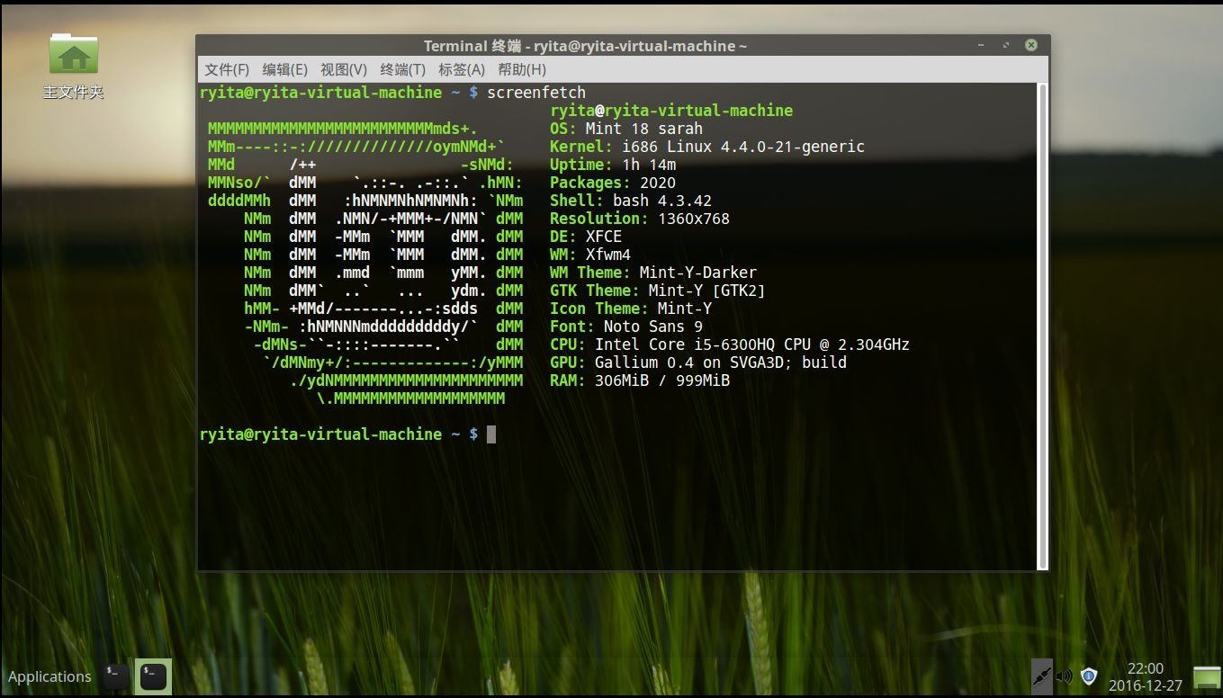 Mint LINUX 如何设置tty的分辨率大小_linux切tty界面大小怎么设置-CSDN博客