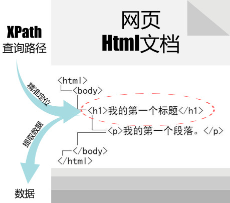 Xpath教程详解，让你的数据采集效率提高20倍_八爪鱼大数据的博客-CSDN博客_xpath效率优化