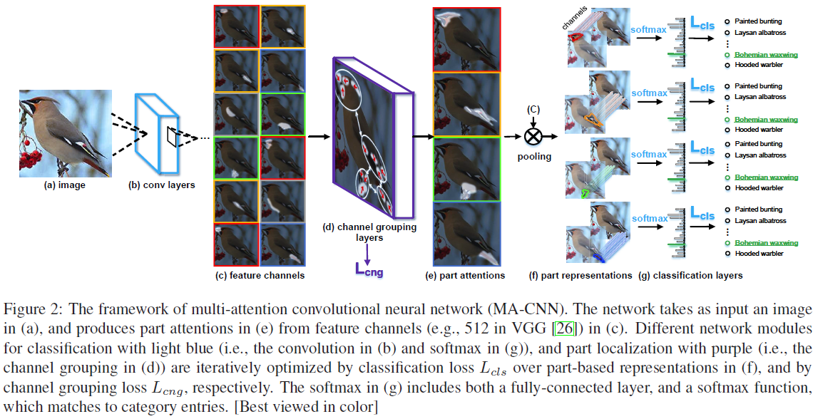论文阅读笔记 | (ICCV 2017) Multi-Attention CNN for Fine-Grained Image Recognition：MA-CNN-CSDN博客