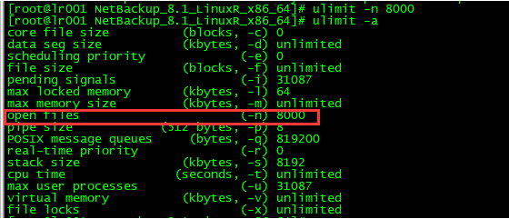 Symantec Netbackup 8 1安装部署 Symantec Netbackup 下载 Csdn博客