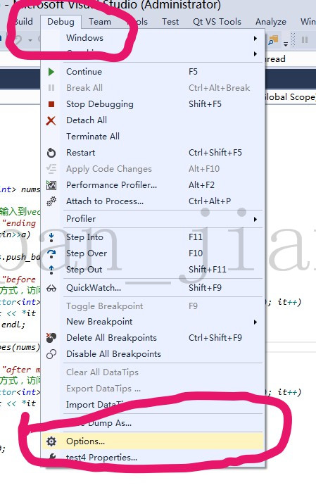 vs2015调试时无法查看string、vector等类型的值_vs2015 调试显示值-CSDN博客