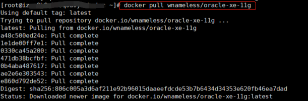 在linux服务器上利用docker安装oracle并用navicat连接 Csdn博客