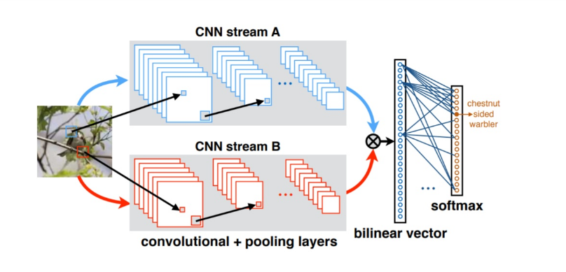 Bilinear CNN Models for Fine-grained Visual Recognition论文总结-CSDN博客
