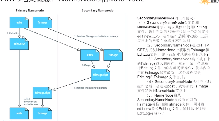 Hadoop HDFS原理---分布式文件系统_hadoop分布式文件系统 三大原理-CSDN博客