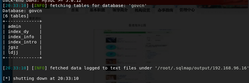 Sqlmap常用命令总结及注入实战（Access、mysql）_sqlmap注入命令大全-CSDN博客