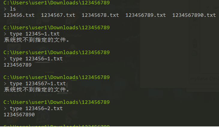 Windows文件及文件夹命名规则之admini~1≈administrator问题_Security2864的博客-CSDN博客