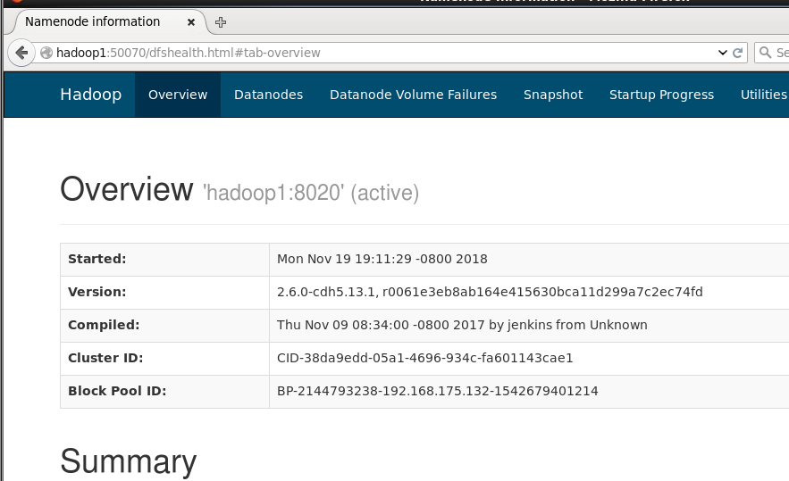 Hadoop集群搭建（六）：hadoop配置namenode服务_hadoop namenode -format未找到命令-CSDN博客