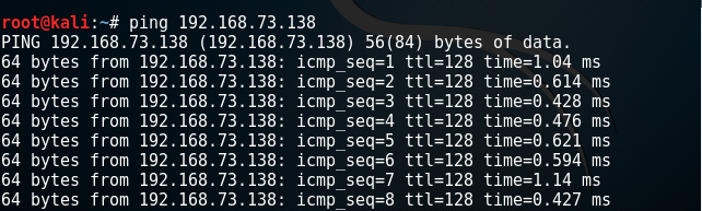 使用Kali Linux进行SYN Flood攻击_利用kali进行syn flood攻击-CSDN博客