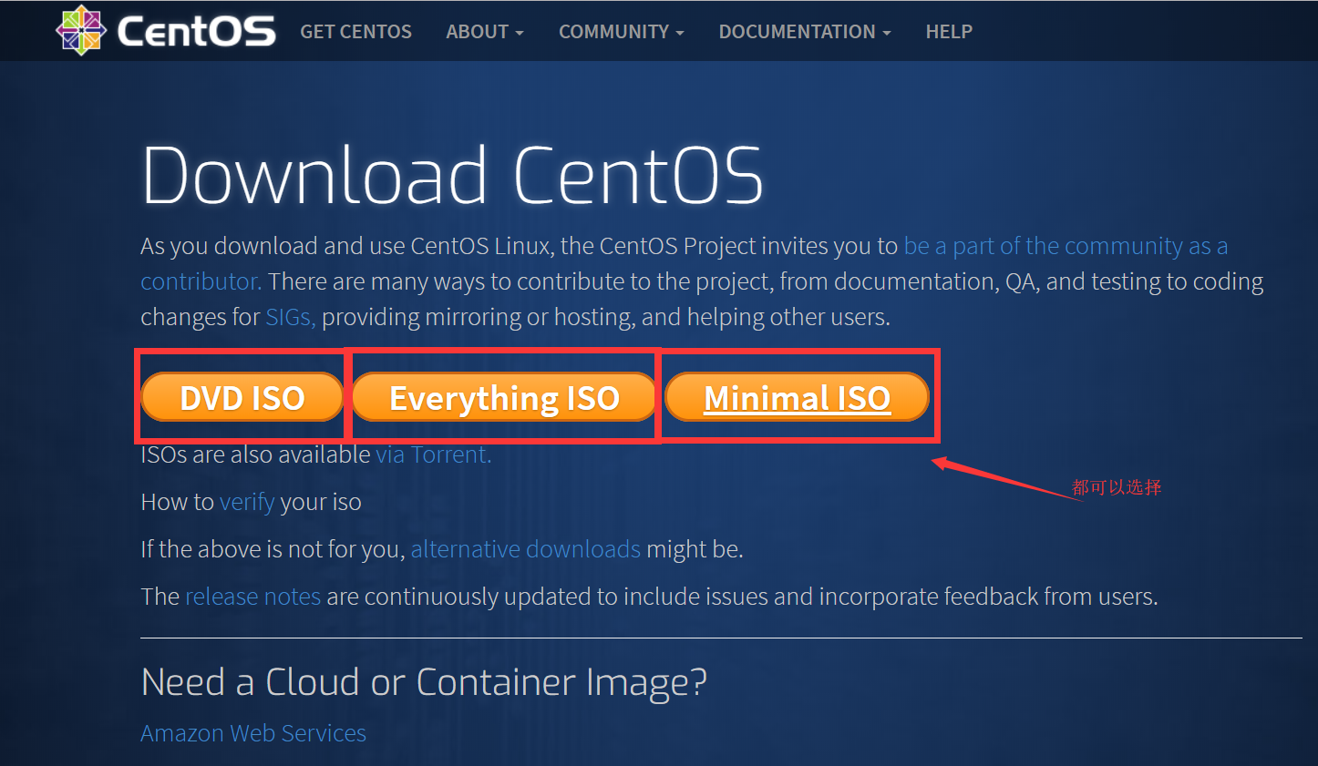 Cent OS7下载和安装图形桌面教程_cendos7图形 下载-CSDN博客