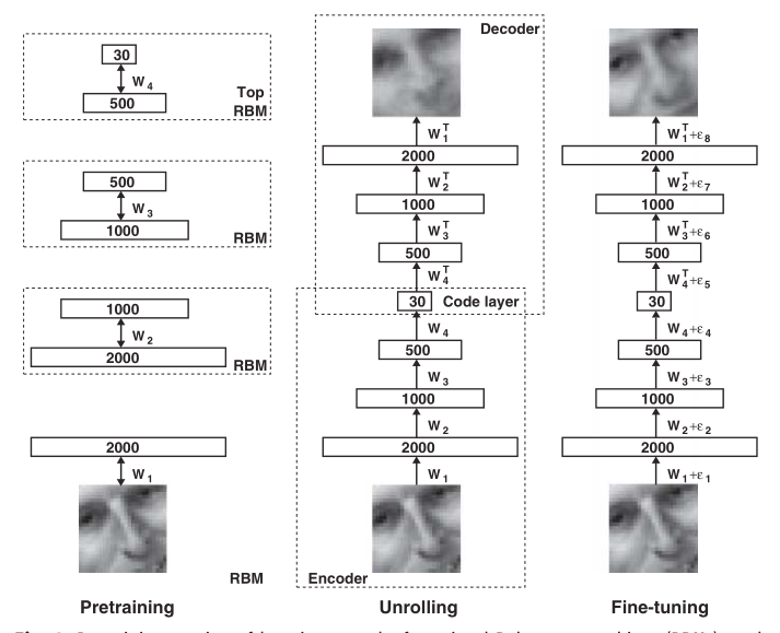 深度学习 --- 基于RBM的深度置信网络DBN-DNN详解_深度置信神经网络 (dbn-dnn) 结构-CSDN博客