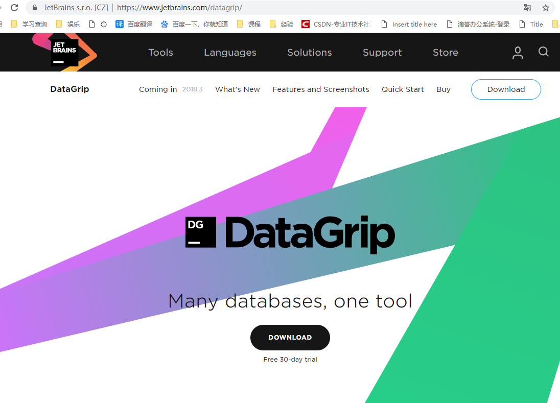 DATAGRIP下载过程_datagrip下载csdn-CSDN博客