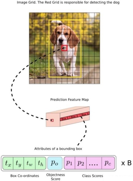 YOLOv2——引入：Anchor+特征融合 (目标检测)(one-stage)(深度学习)(CVPR 2017)_yolov2 anchor ...