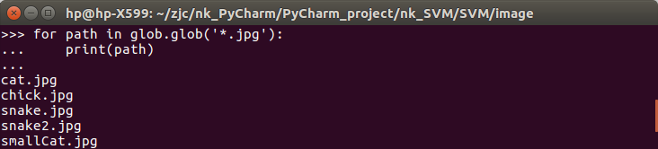 Python讲堂 glob.glob( '*.jpg' )_.glob("*.jpg")-CSDN博客