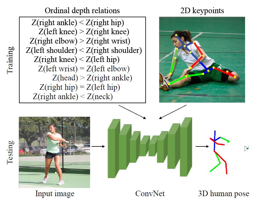 《Ordinal Depth Supervision for 3D Human Pose Estimation》-CVPR2018 论文阅读_ordinal depth什么意思-CSDN博客