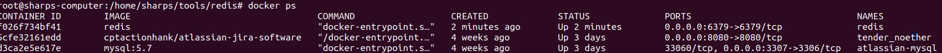 Ubuntu下docker中安装redis并启动redis Ubuntu Docker 启动redis Csdn博客