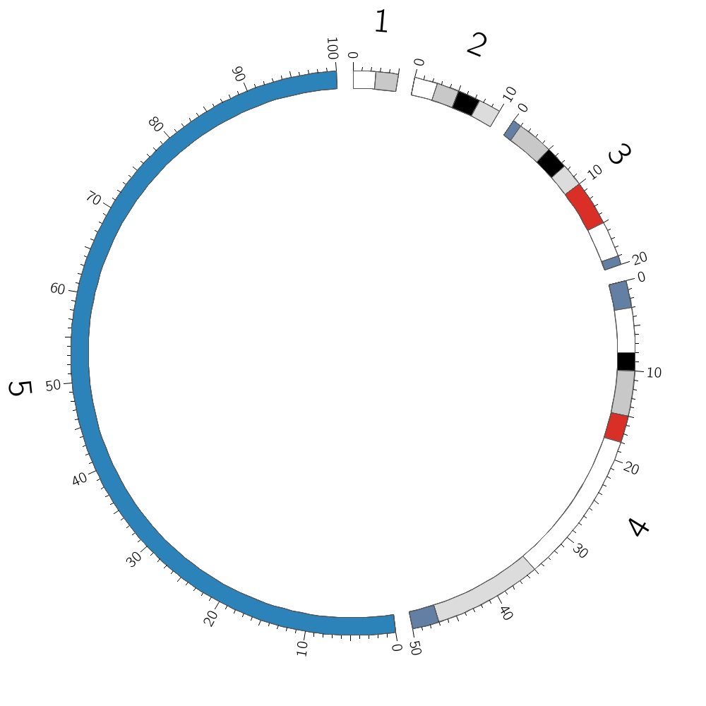 circos- Session 1 Lesson 9 Cytogenetic Bands_an information aesthetic ...