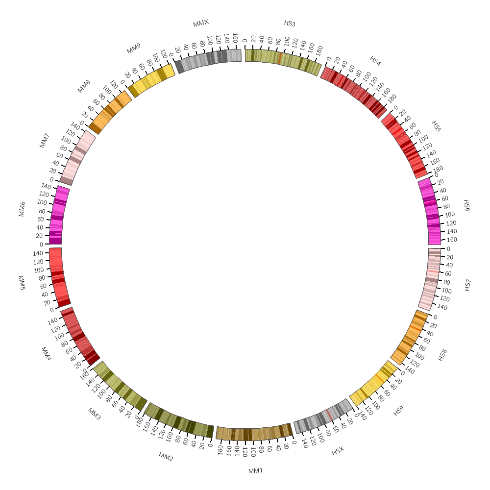 circos-session 1 Lesson 11 Ideogram，Color，Scale，Order and Orientation ...
