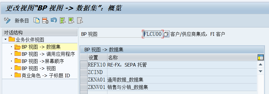 SAP S4 BP增强 BDT方式 添加自定义屏幕 KNA1和KNVV 通用数据视图、销售与分销视图（英文）_sap bp knvv增强-CSDN博客