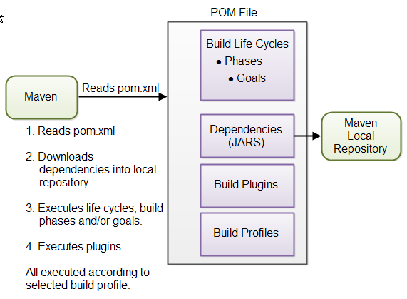 Maven 入门 02 - POM文件_pom获取当前项目路径-CSDN博客