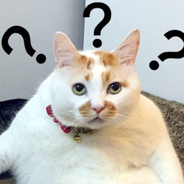 keras图像识别_keras识别图片中的元素-CSDN博客