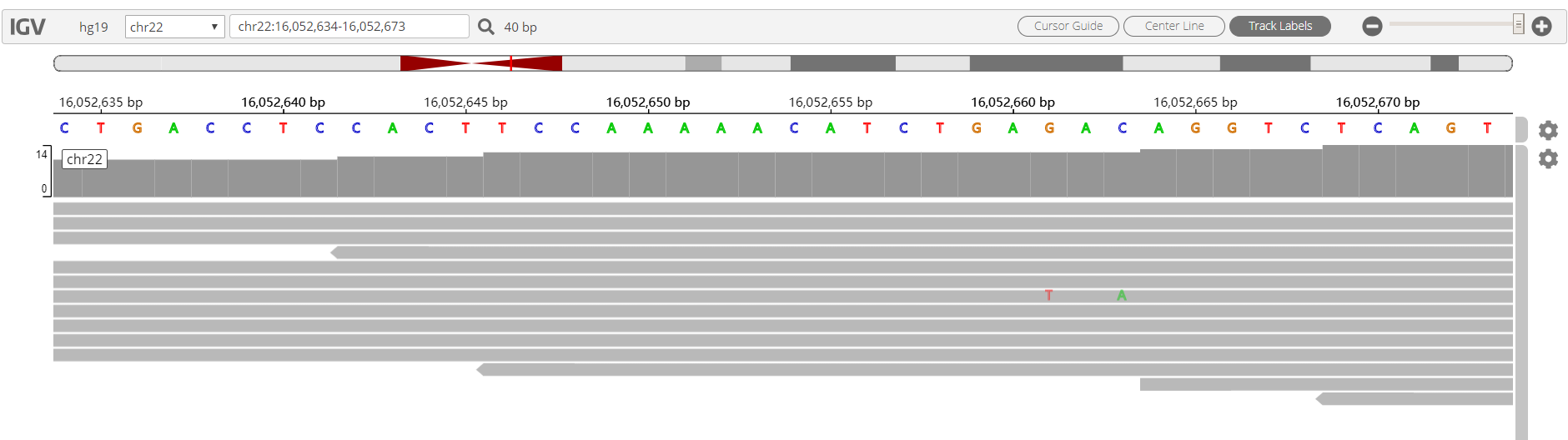 使用igv.js插件在浏览器中展示基因组_卡西莫多的礼物的博客-CSDN博客