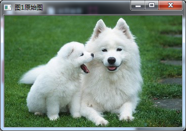【OpenCV】OpenCV函数精讲之 -- copyTo()函数及Mask详解（附代码详解）_opencv copyto mask-CSDN博客