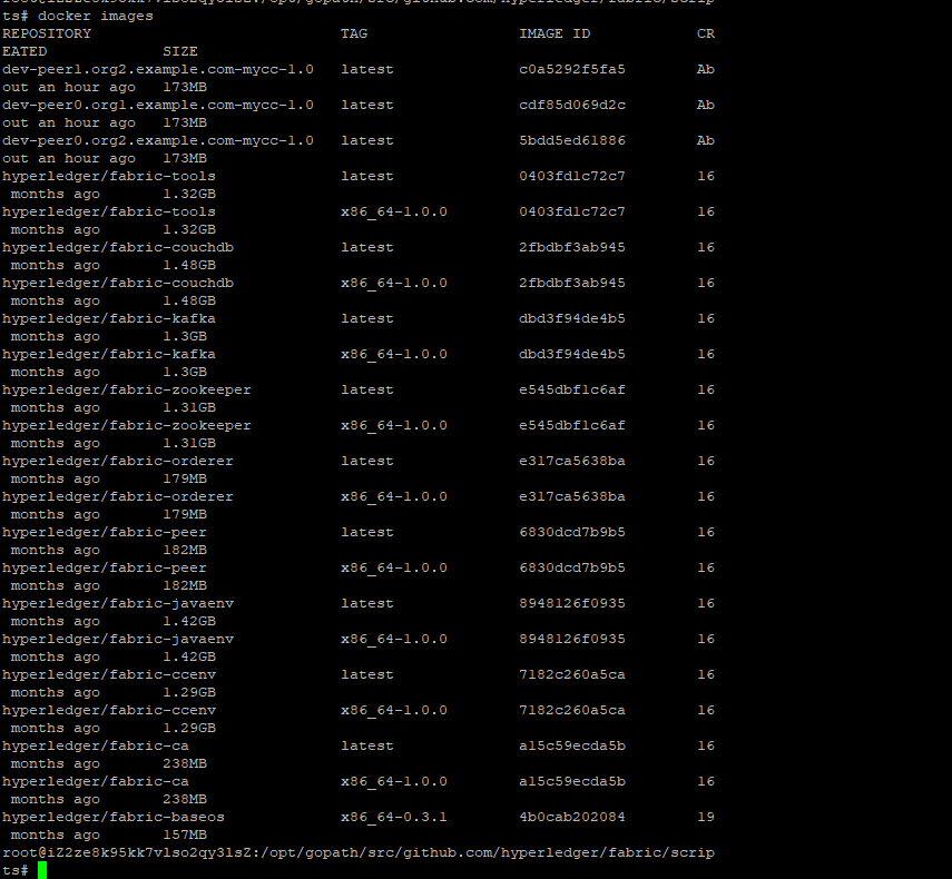 怎样部署Hyperledger Fabric多节点（一）_普通网友的博客-CSDN博客
