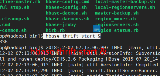 无法联系到 HBase Thrift 1 服务器：Could not connect to localhost:9090_hbase 9090-CSDN博客