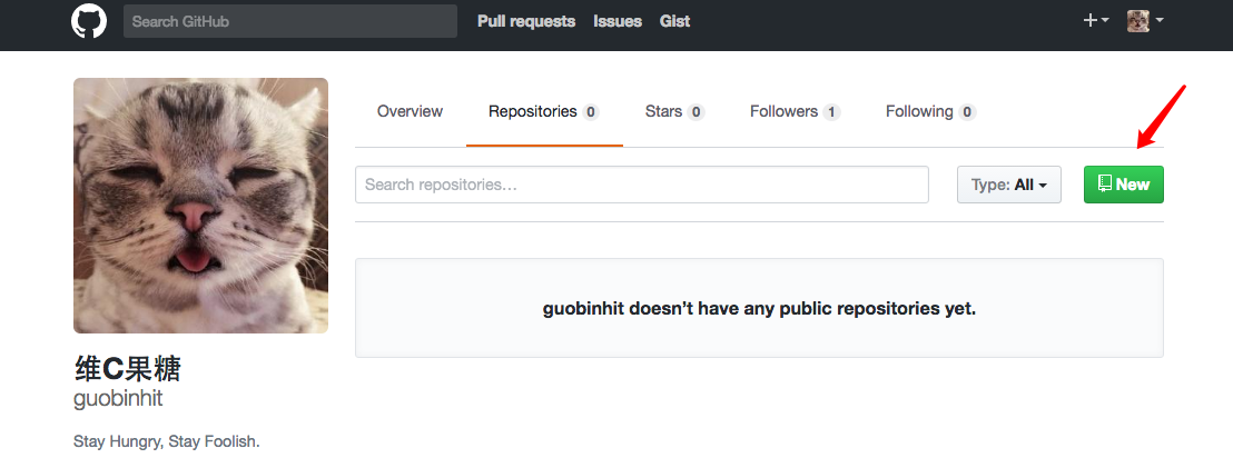 创建 Github 仓库的步骤及方法github库怎么创建 Csdn博客