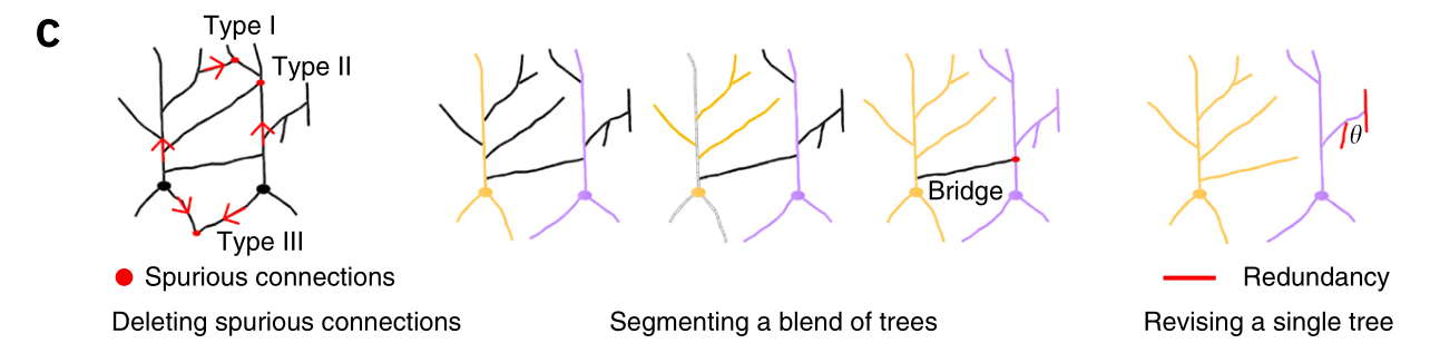 Vaa3d中的neuroGPS-Tree追踪算法_neurgps-CSDN博客