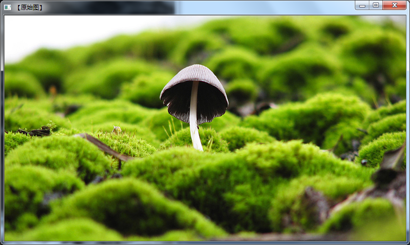 【opencv】opencv函数精讲之 通道分离：split函数c Opencv Split Csdn博客
