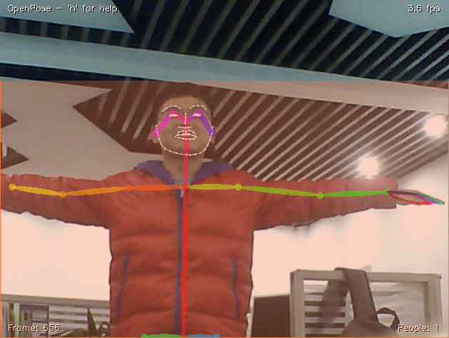 ubuntu下OpenPose的安装、使用、初步介绍_openpose使用指南-CSDN博客