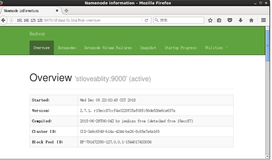实验10. Hadoop环境搭建_hadoop环境搭建实验报告-CSDN博客