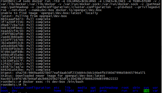 微软OpenPAI平台搭建指南_微软OpenPAI平台搭建操作指南-CSDN博客_openpai