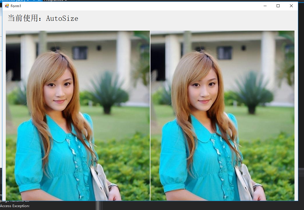 使用PictureBox.SizeMode的详细讲解_picturebox sizemode-CSDN博客