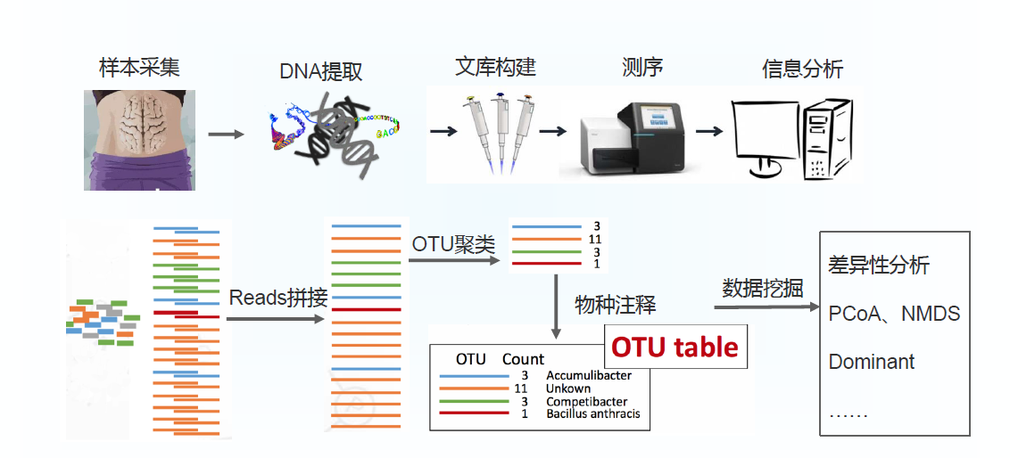 测序数据分析之OTU_不同的otu划分成cluster3a-CSDN博客