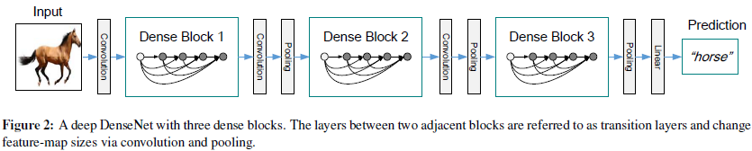 DenseNet结构解读_densenet的结构分析-CSDN博客