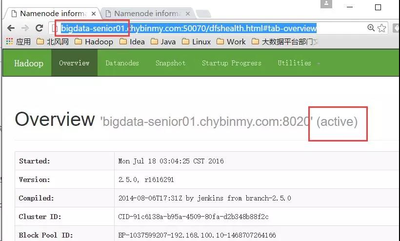 史上最详细的Hadoop环境搭建,从0开始，图解全部过程_hadoop搭建-CSDN博客