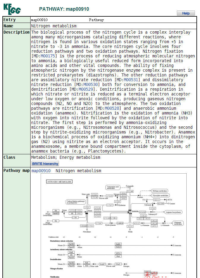 【生信】KEGG数据库在线使用_镰刀韭菜的博客-CSDN博客