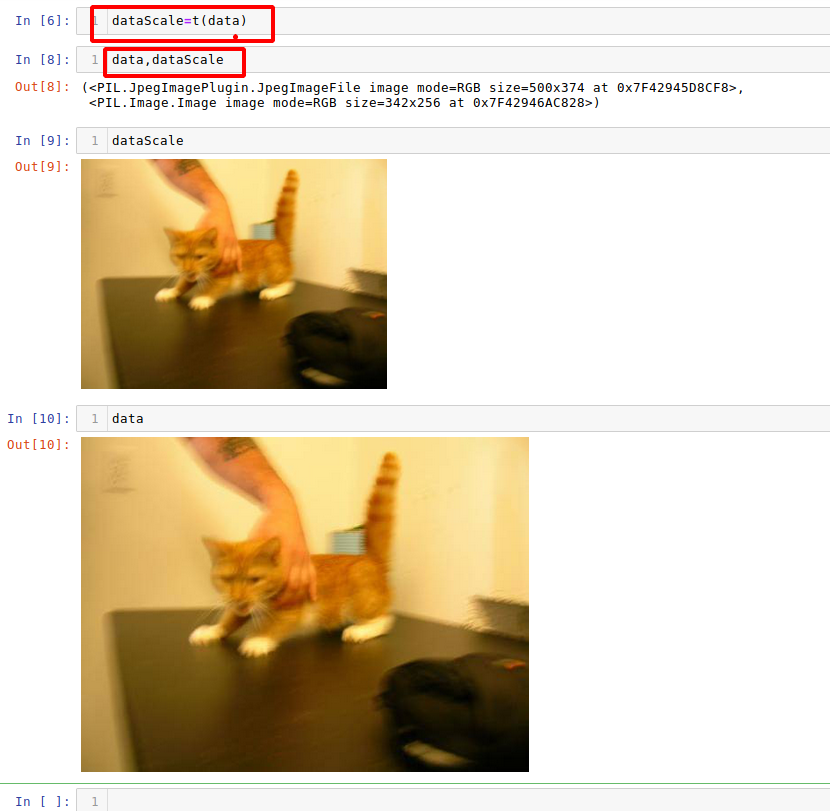pytorch中T.RandomResizedCrop()等图像操作转换的效果-CSDN博客