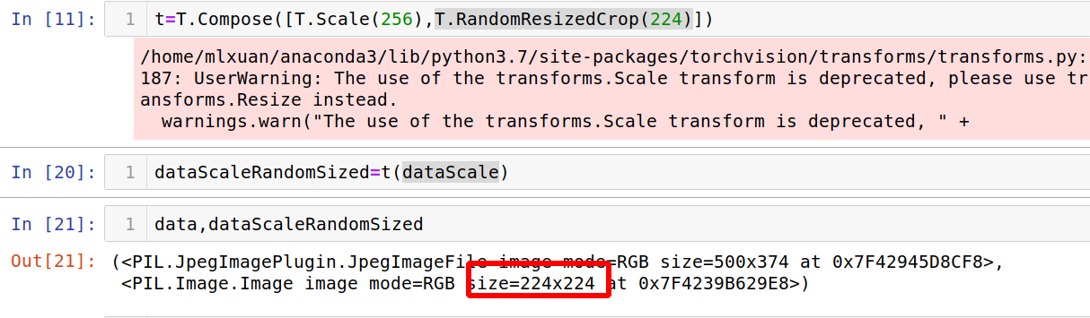 pytorch中T.RandomResizedCrop()等图像操作转换的效果-CSDN博客