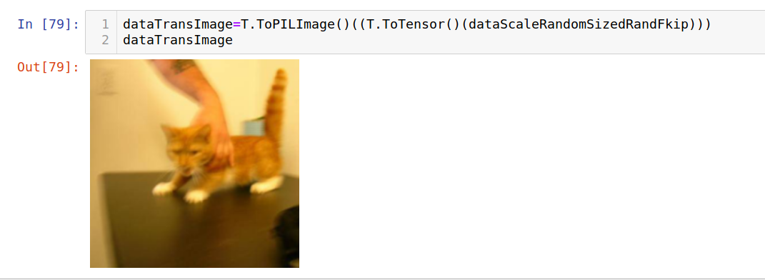 pytorch中T.RandomResizedCrop()等图像操作转换的效果-CSDN博客